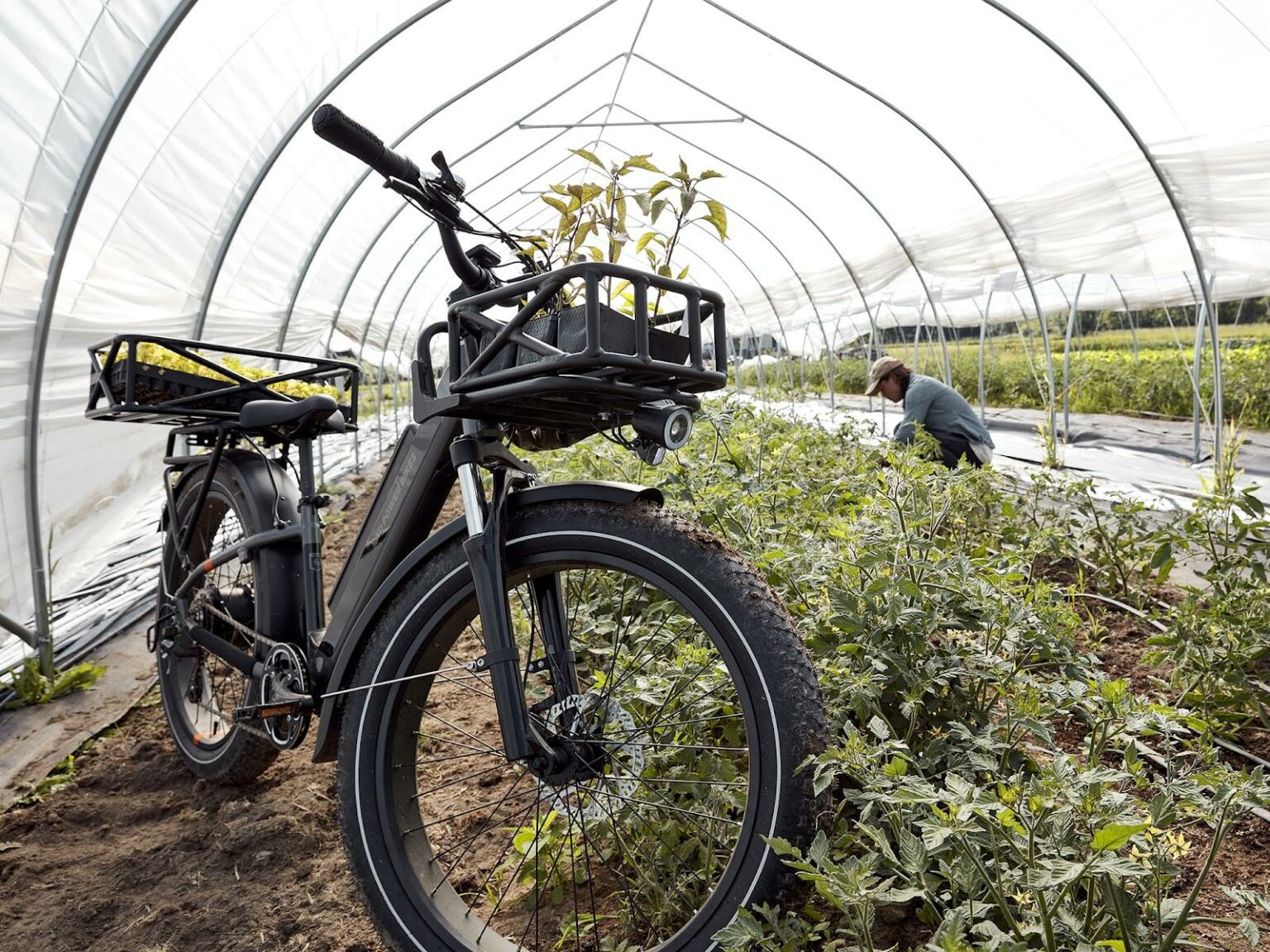 The RadRover 6 Plus Electric Fat Tire Bike - Tech I Want | Discover The ...